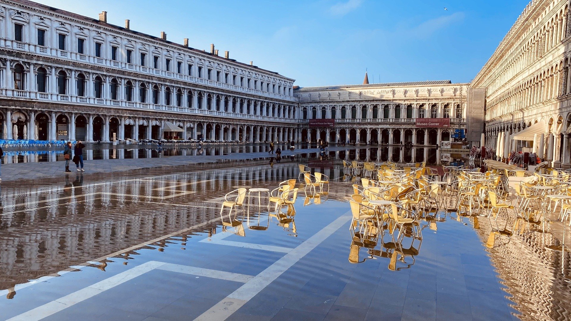 Watch Saving Venice live or on-demand | Freeview Australia