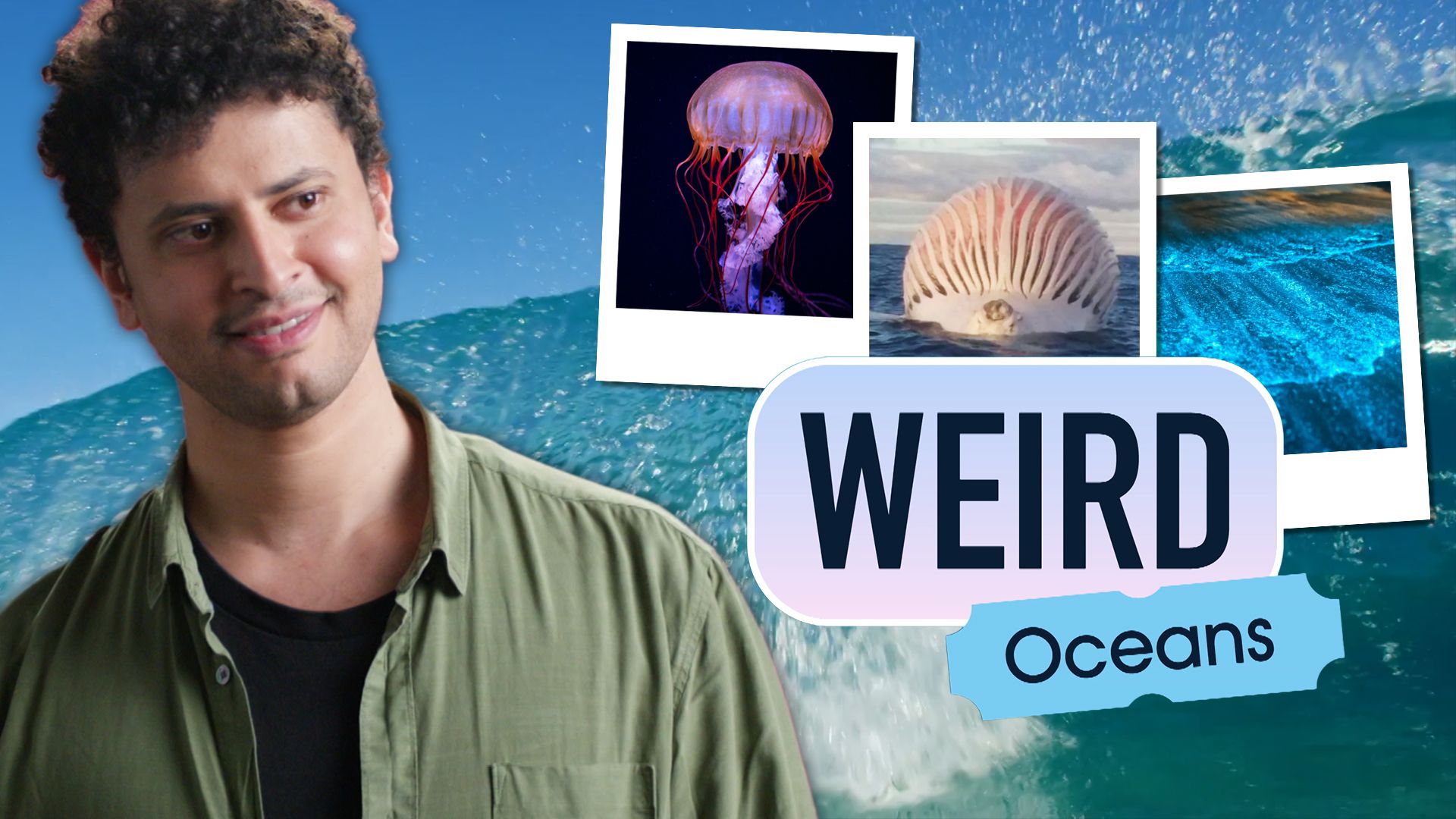 Watch Weird: Oceans live or on-demand | Freeview Australia