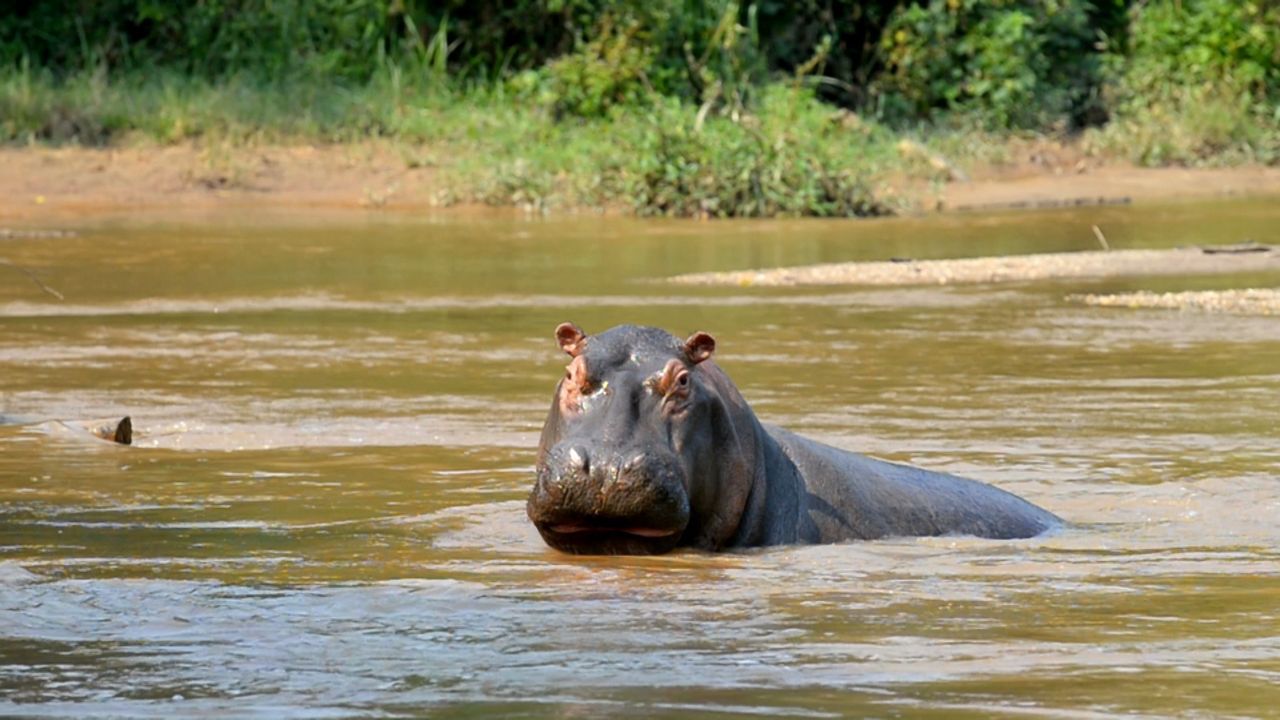 Watch Bad Nature live or on-demand | Freeview Australia