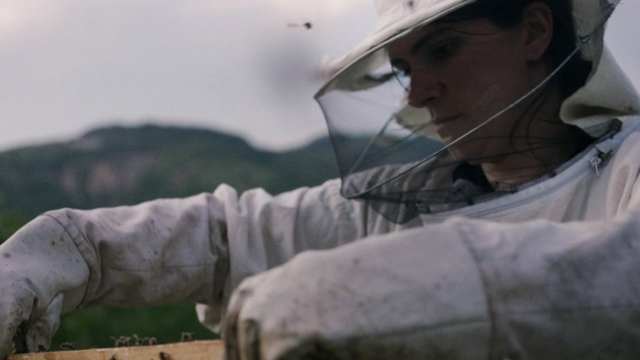 Watch Hive live or on-demand | Freeview Australia