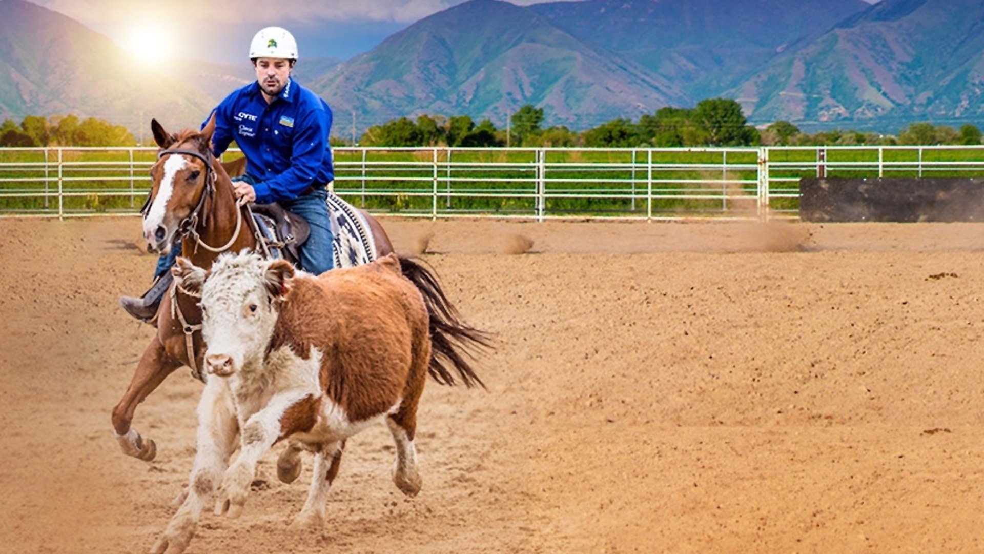 Watch Gold Buckle Campdrafting live or on-demand | Freeview Australia