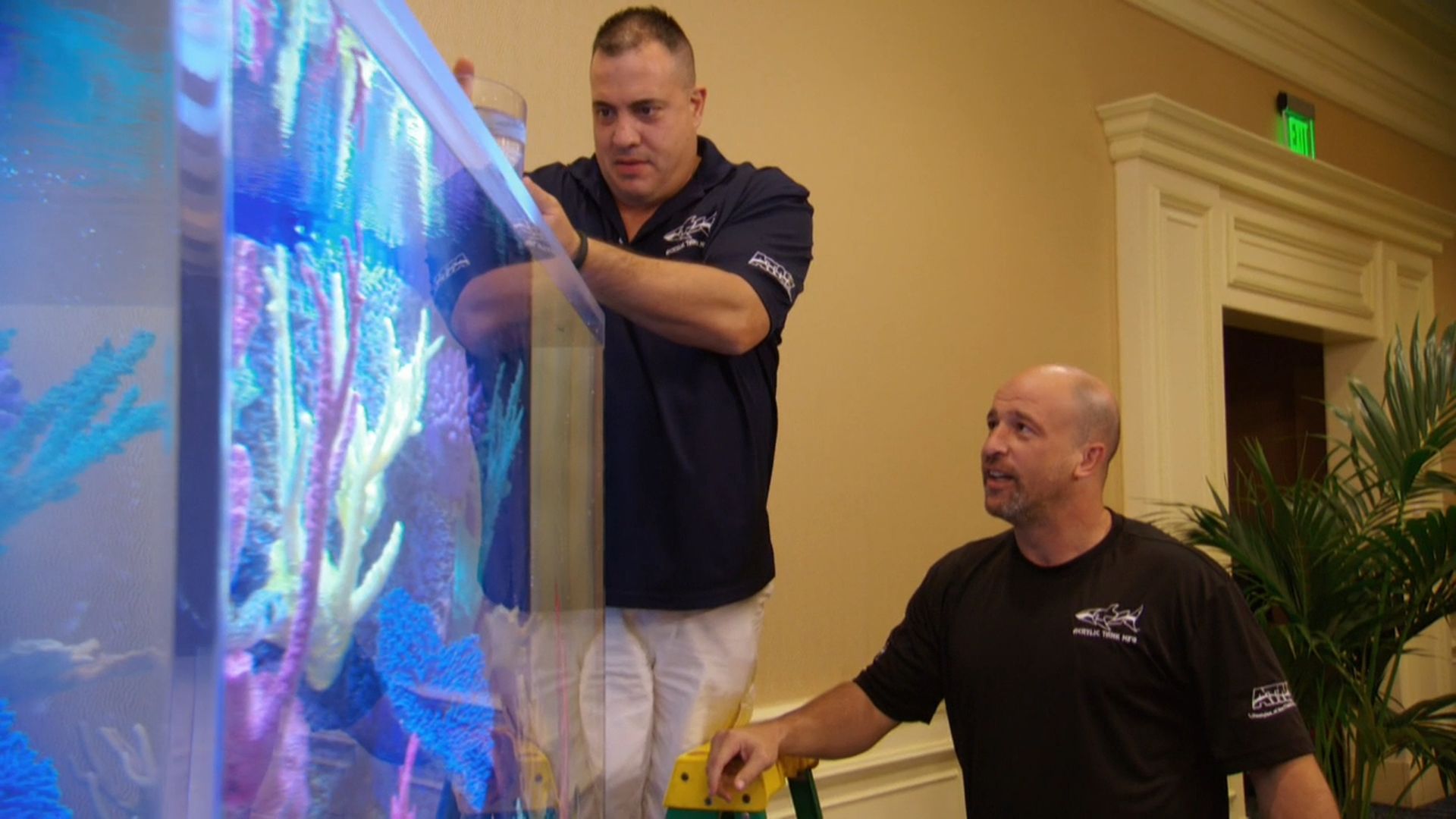 Watch Tanked live or on-demand | Freeview Australia