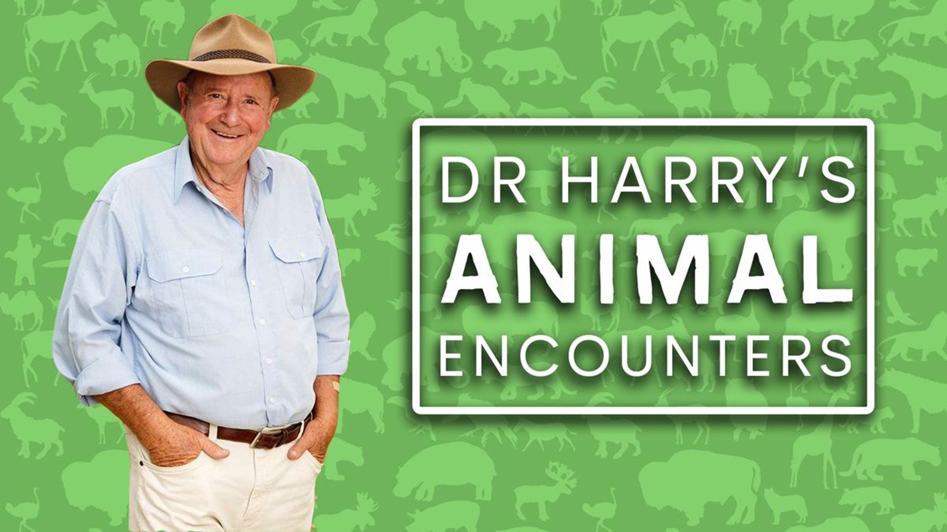 Watch Dr Harry's Animal Encounters live or on-demand | Freeview Australia