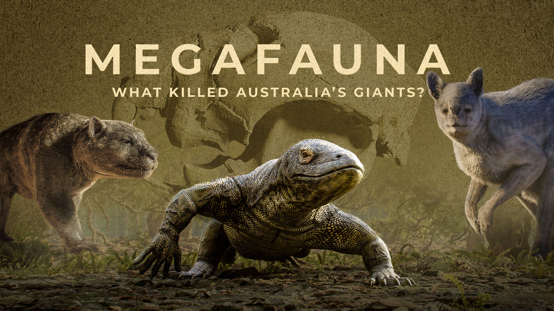 Watch Megafauna: What Killed Australia's Giants? live or on-demand ...