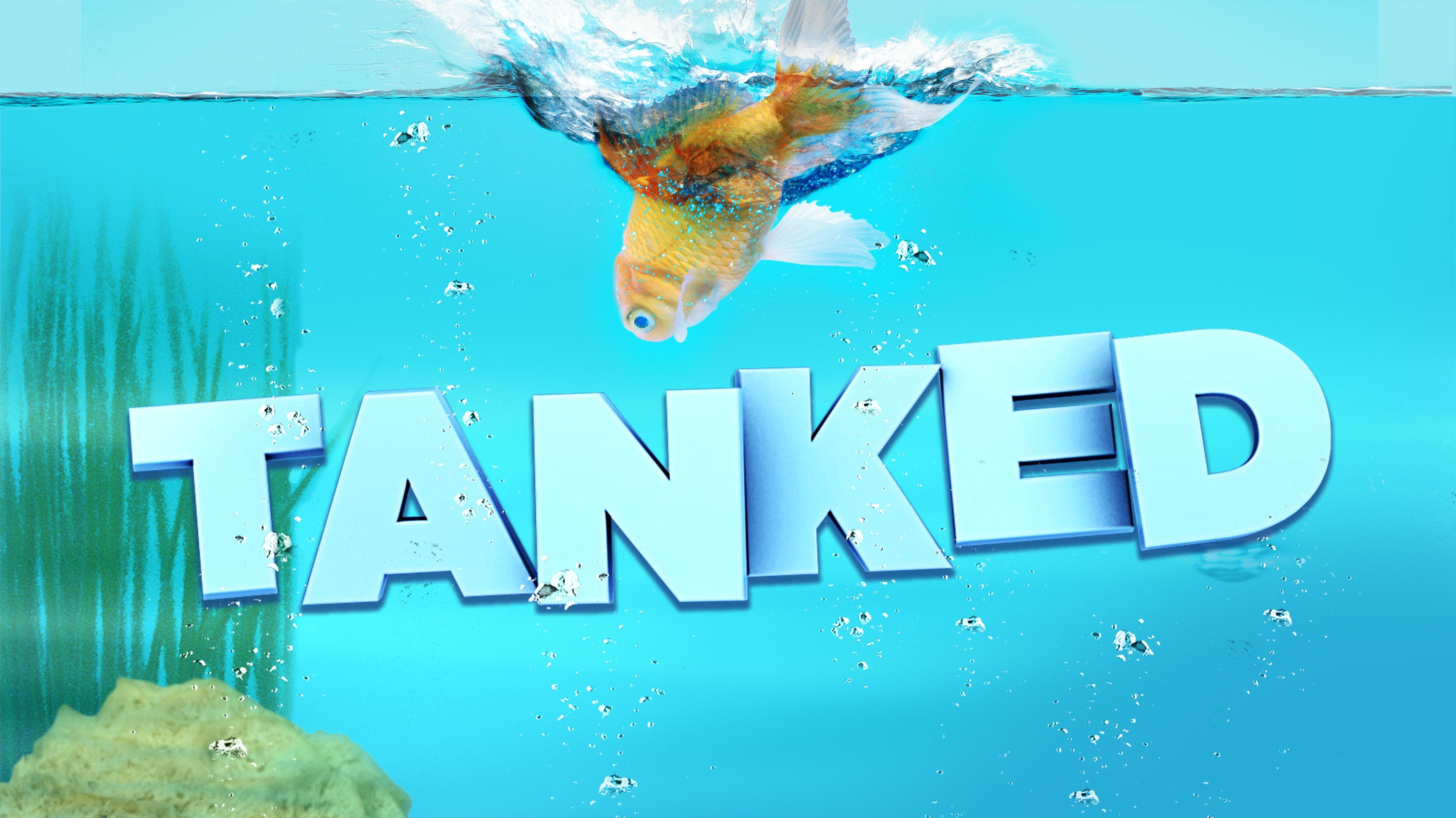 Watch Tanked live or on-demand | Freeview Australia