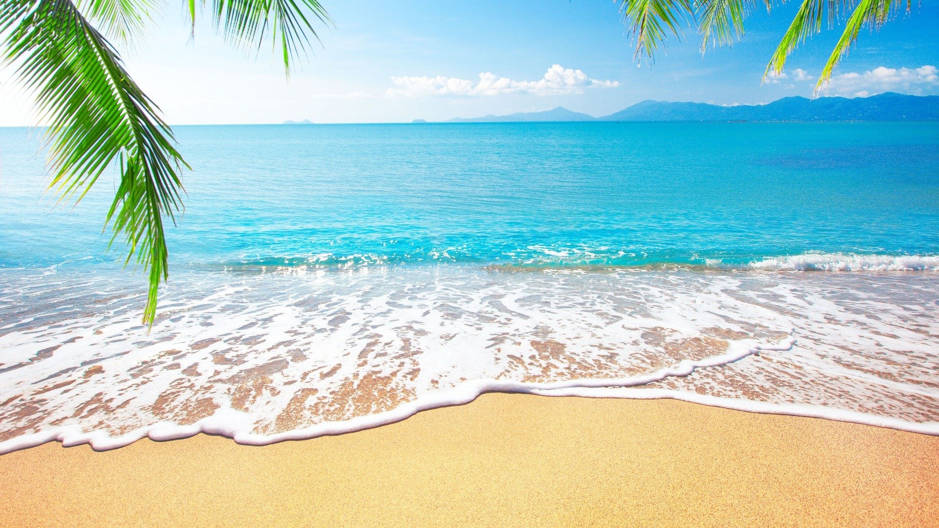 Watch Today Extra Summer live or on-demand | Freeview Australia