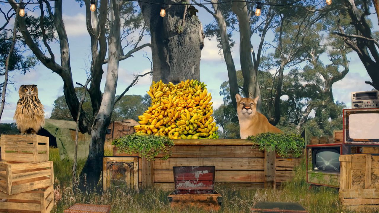 Watch Bad Nature live or on-demand | Freeview Australia