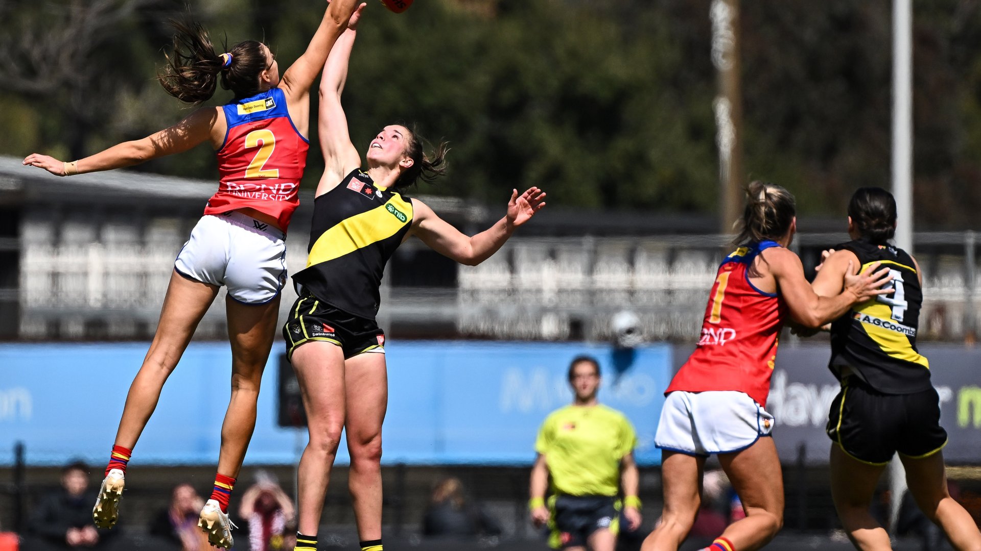 Watch AFL Women's Premiership live or on-demand | Freeview Australia
