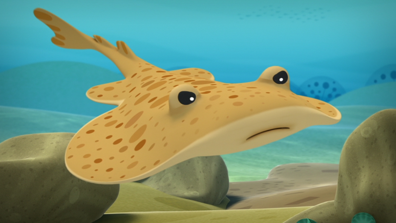 Watch Octonauts live or on-demand | Freeview Australia