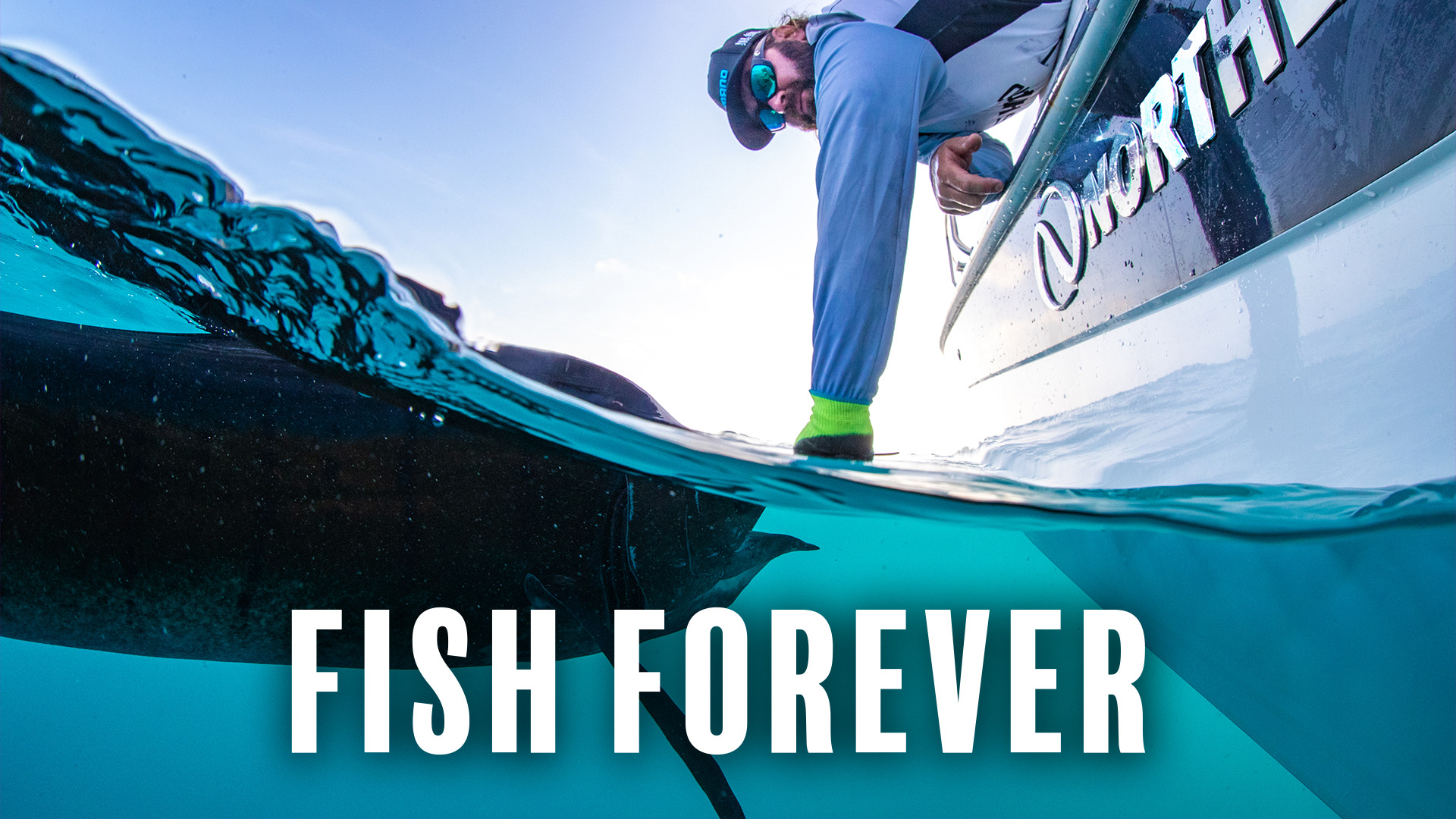 Watch Fish Forever live or on-demand | Freeview Australia