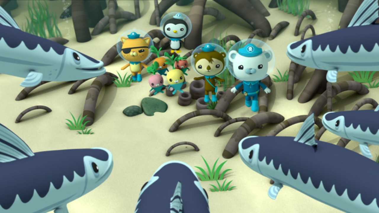 Watch Octonauts live or on-demand | Freeview Australia