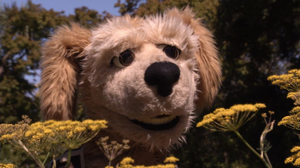 Watch ZooMoo Wild Friends live or on-demand | Freeview Australia