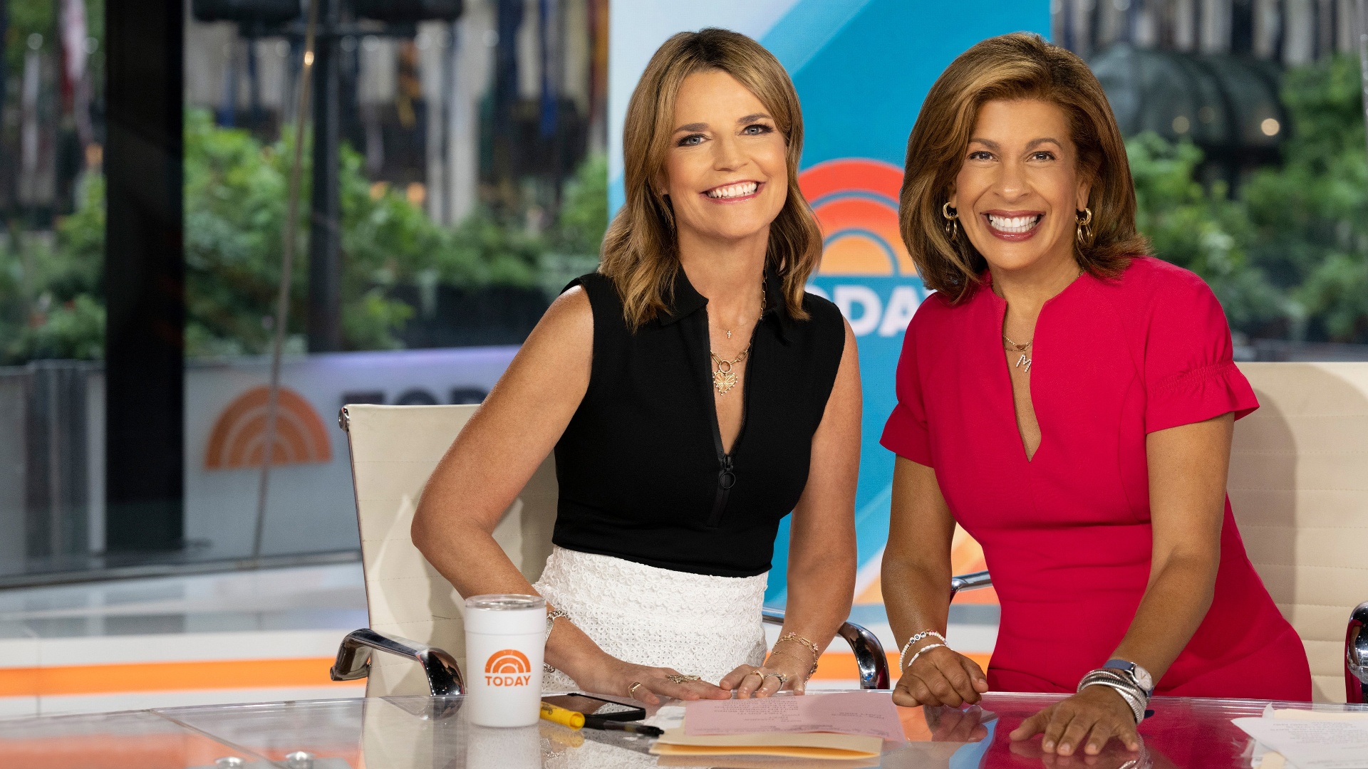 Watch NBC Today live or on-demand | Freeview Australia