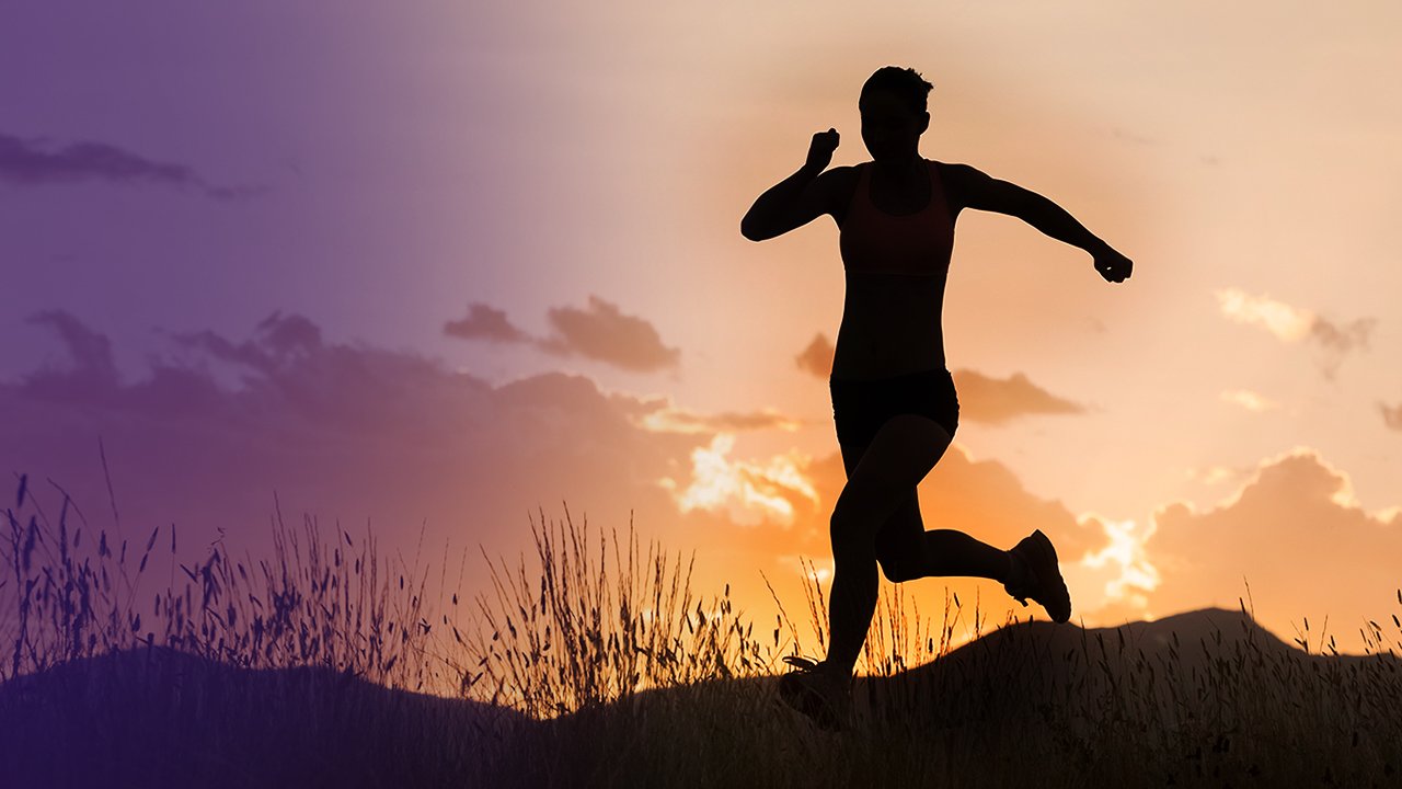 Watch Insight live or on-demand | Freeview Australia