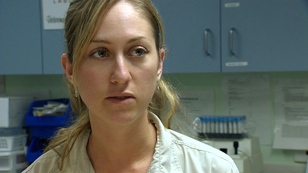 Watch RSPCA Animal Rescue live or on-demand | Freeview Australia