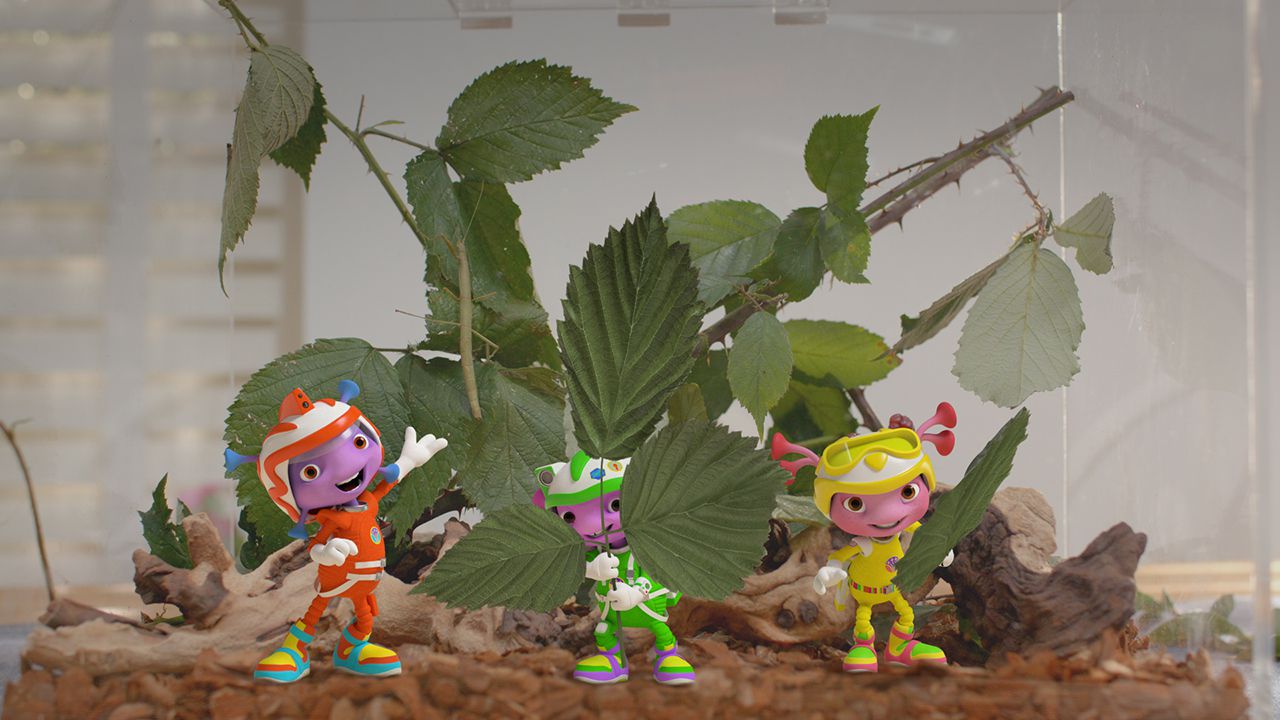 Watch Floogals live or on-demand | Freeview Australia