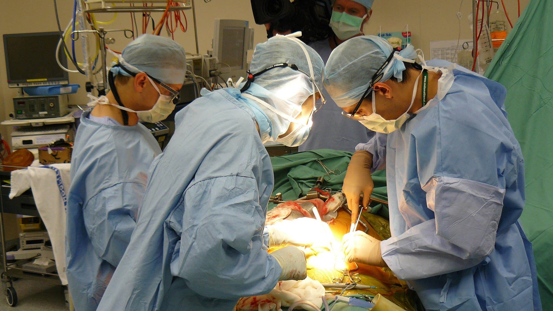 Watch RPA live or on-demand | Freeview Australia