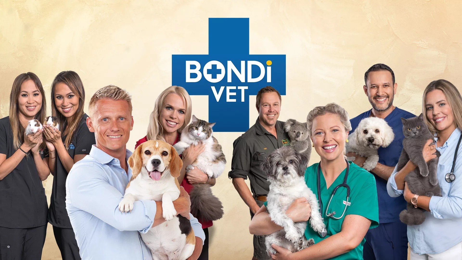 Watch Bondi Vet live or on-demand | Freeview Australia