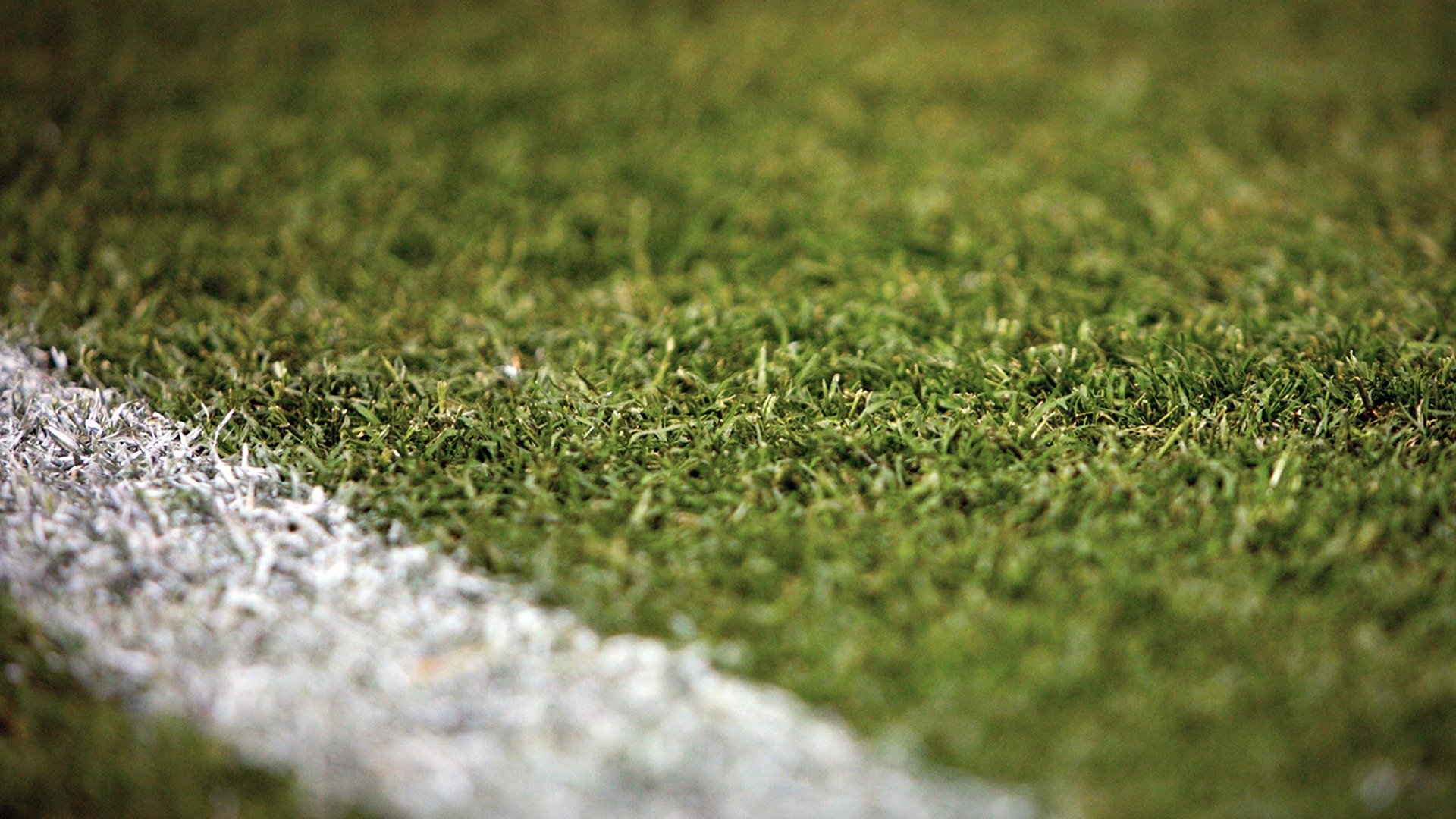 Watch AFL Pre-Game Show live or on-demand | Freeview Australia