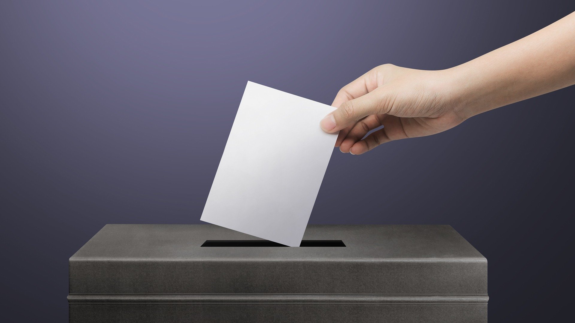 Watch QLD Votes: Election Results Live live or on-demand | Freeview ...