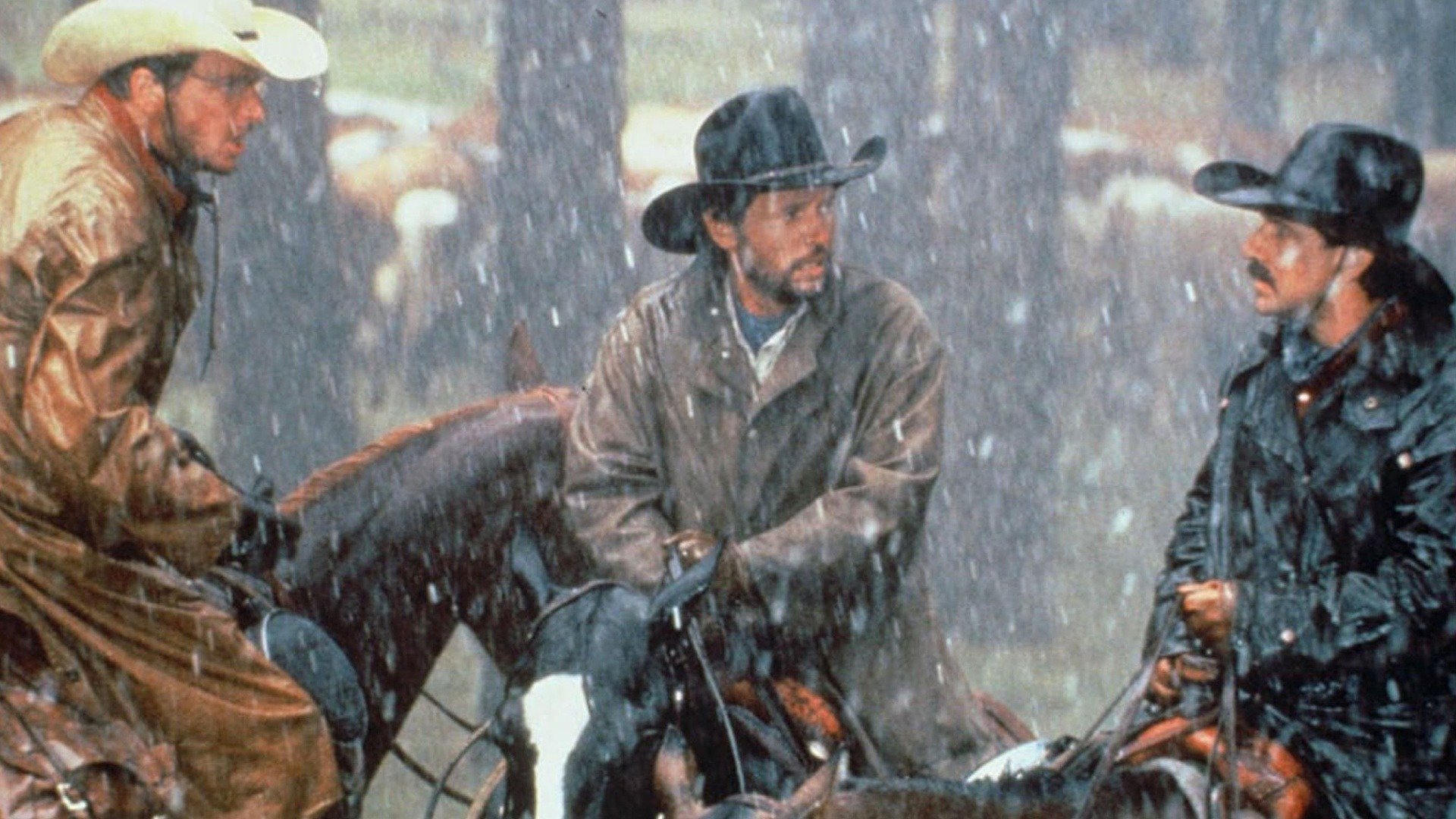 Watch City Slickers live or on-demand | Freeview Australia