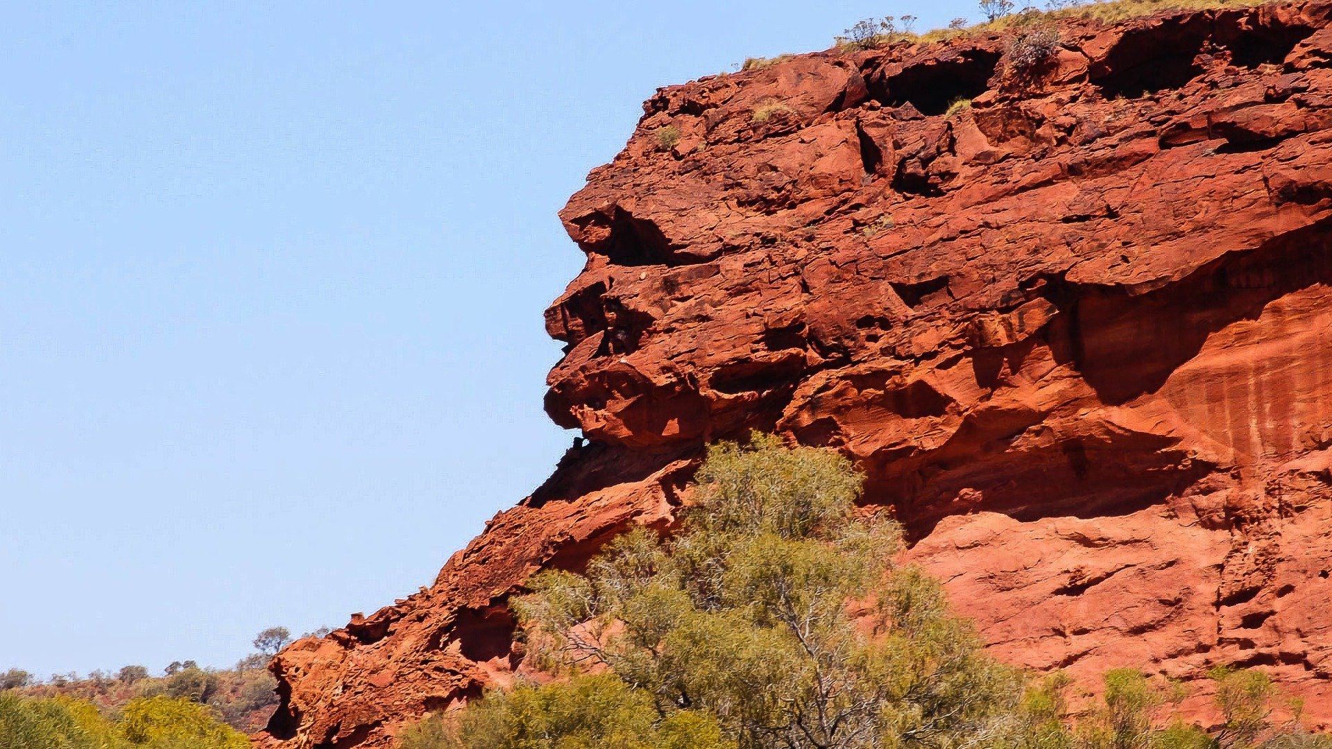 Watch Ray Martin: Mysteries Of The Outback live or on-demand | Freeview ...