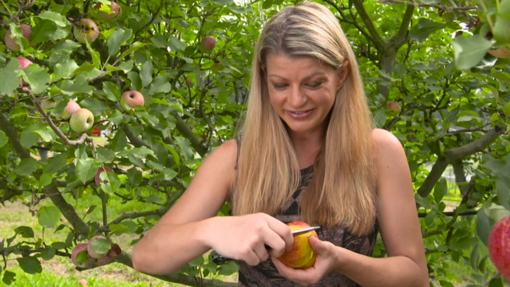 Watch The Garden Gurus live or on-demand | Freeview Australia