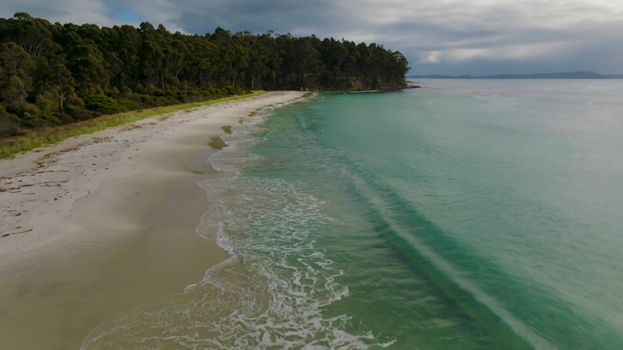 Watch Bamay live or on-demand | Freeview Australia