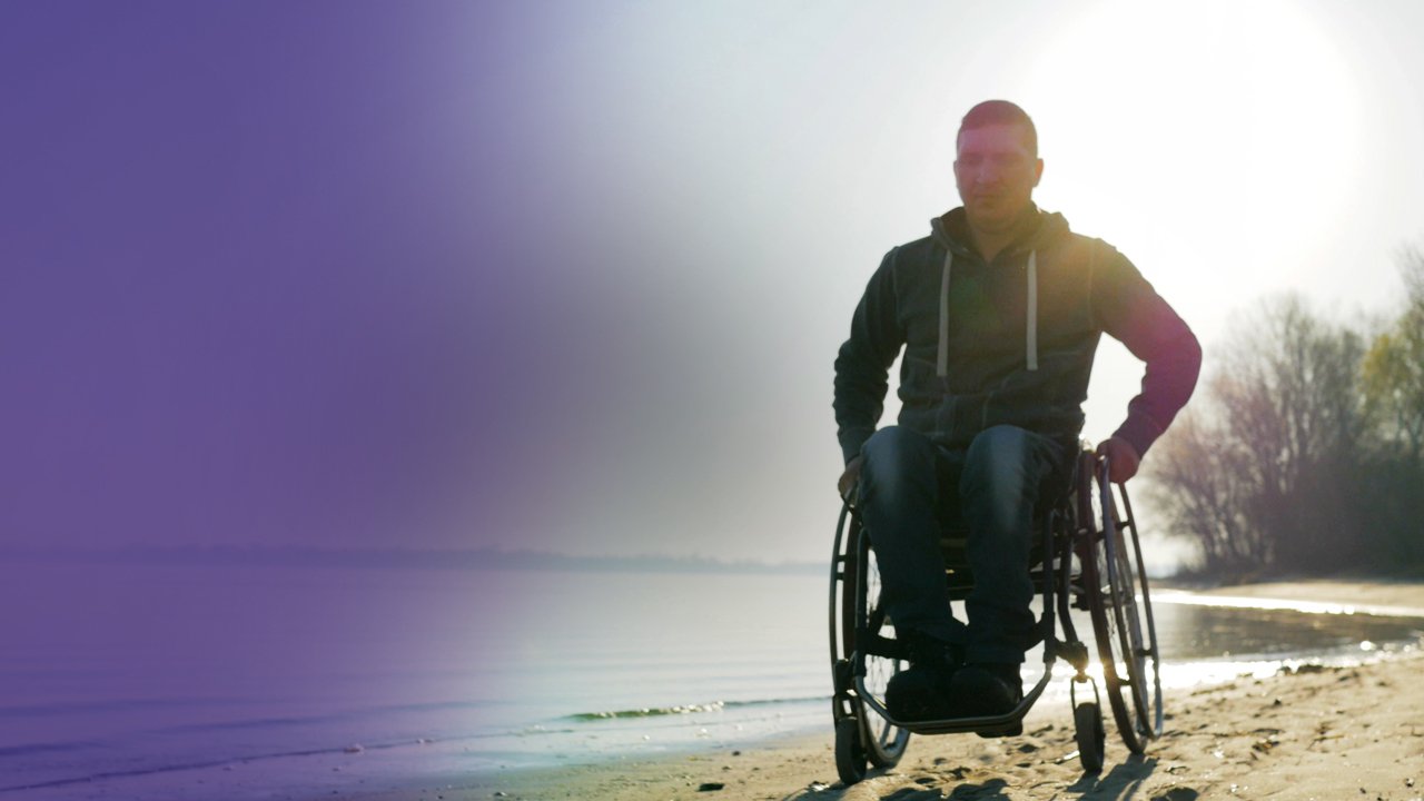 Watch Insight live or on-demand | Freeview Australia