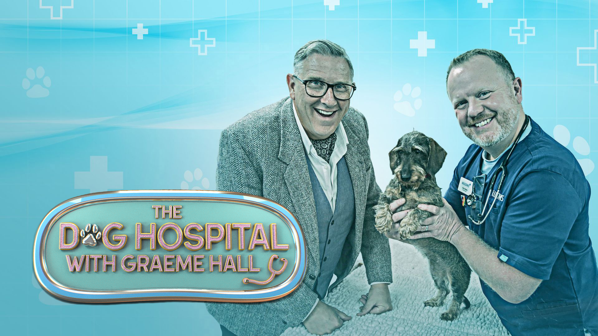 Watch The Dog Hospital with Graeme Hall live or on-demand | Freeview ...