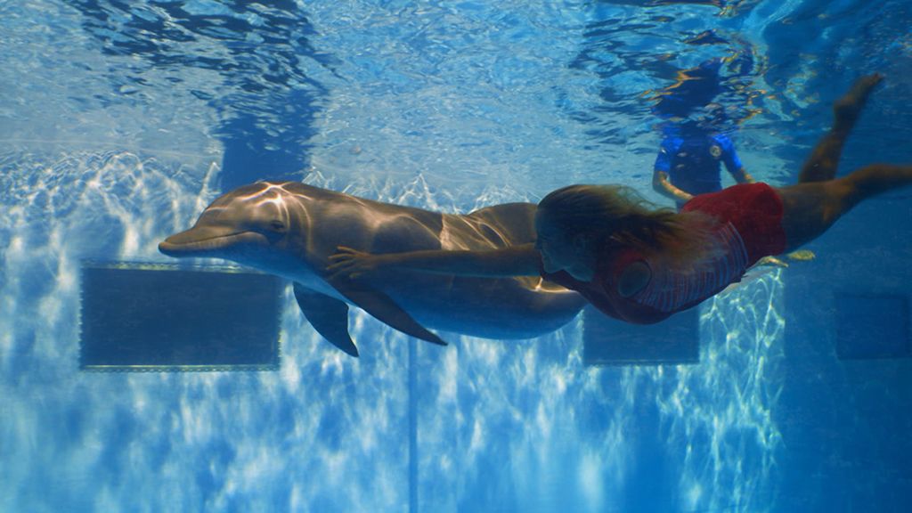 Watch Dolphin Tale 2 live or on-demand | Freeview Australia